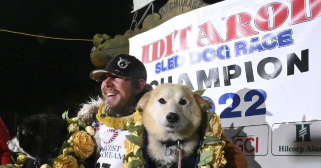 Assault claims roil Iditarod sled dog race as 2 top mushers are ...