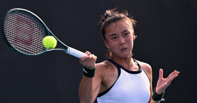 Yuan beats Wang in Austin final to capture first WTA title - Breitbart