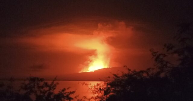 Volcano on uninhabited Galapagos island erupts, sends lava flowing to ...
