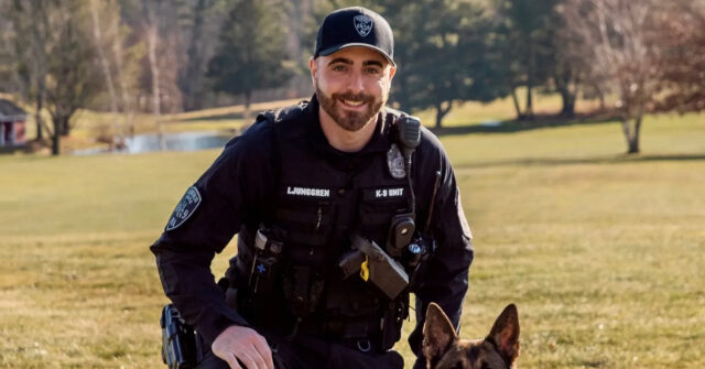 Heroic Massachusetts Dog Finds Missing 12-Year-Old After Tracking Scent ...