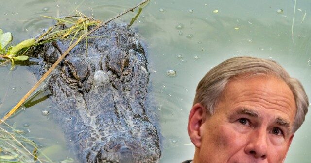 Texas Gov. Greg Abbott Issues Warning of Alligators in Rio Grande ...