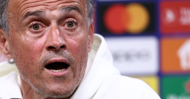 'We're here to enjoy it', says PSG boss Luis Enrique - Breitbart