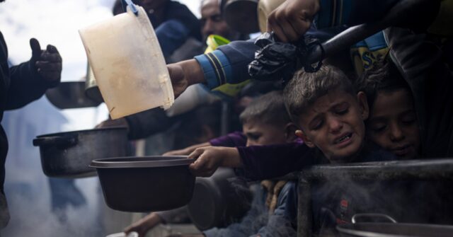 UN report says 282 million people faced acute hunger in 2023, with the ...