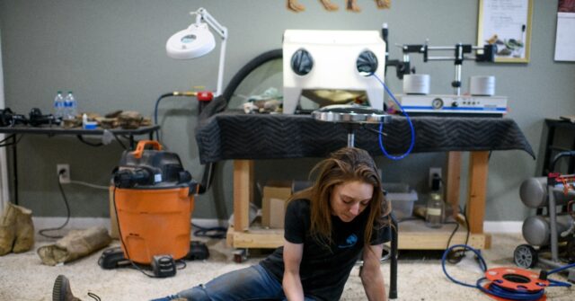 US restorationist solves 60-million-year-old dinosaur fossil 'puzzles ... US restorationist solves 60-million-year-old dinosaur fossil 'puzzles ...