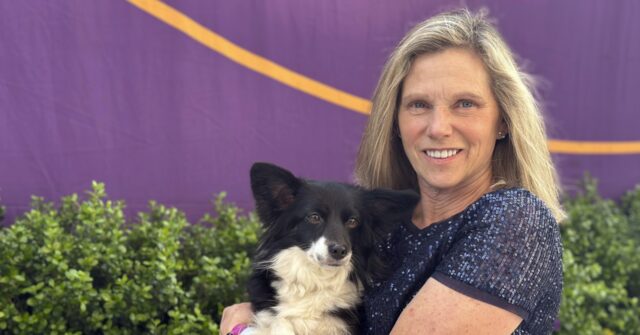 Westminster dog show has its first mixed-breed agility winner, and her ...