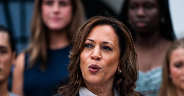Harris Praises Biden's Record in First Appearance Since Entering Race