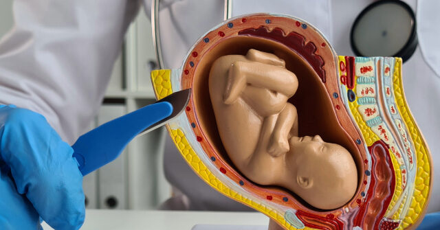 Judge Overturns North Dakota Law Protecting Unborn, Claims Abortion Is ...