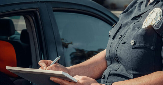 WATCH: San Francisco Officer in Chicken Costume Works to Catch Law ...