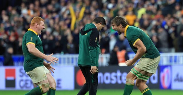 Dual World Cup winning Springbok prop Kitshoff calls time on career ...