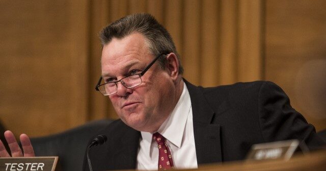 Report: Tester Staff 'Handled' Short Seller Who Demanded Probe of Tim ...