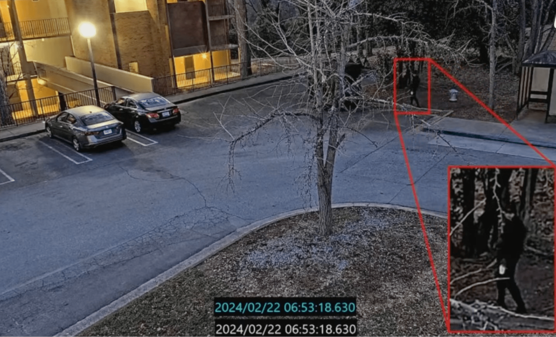 Illegal Will Not Testify as Footage Shows Him Stalking Area Where Laken ...