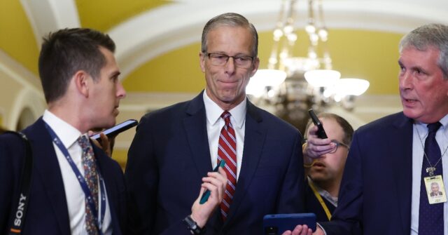 Republicans pick traditionalist John Thune as new US Senate leader ...