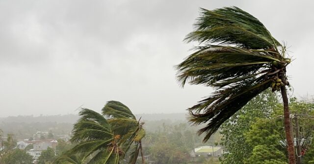 Cyclone Chido death toll rises to 120 in Mozambique - Breitbart