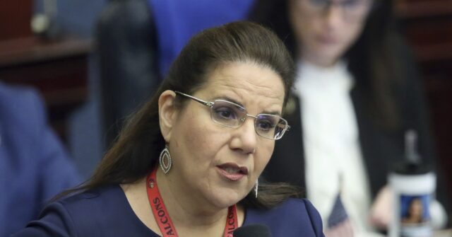 Florida lawmaker's party switch increases Republican supermajority in ...