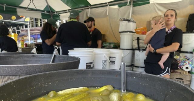 The dill of a lifetime? In a nation that’s enduring its own sour patch, the pickle dominated ...