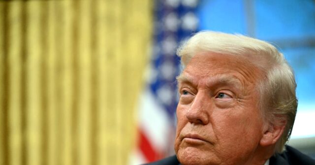 Trump to convene first cabinet meeting, including Musk - Breitbart