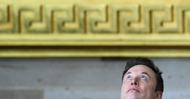 US Treasury says Musk team has 'read-only' access to payments data ...