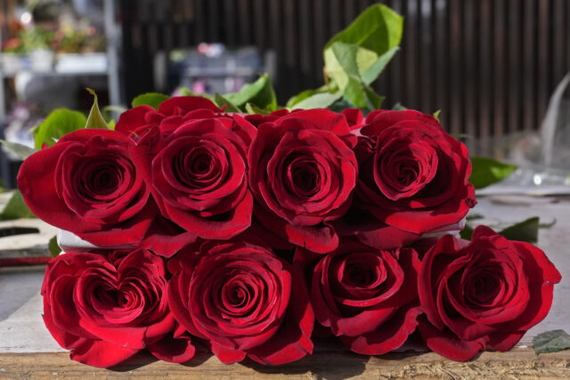 French group issues Valentine's Day warning that cut flowers have a ...