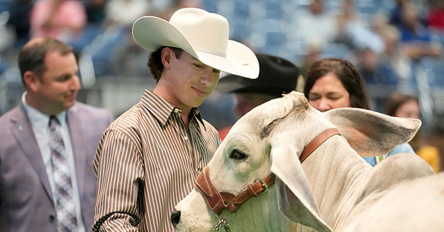 Texas Teens Rake In Nearly $1.4 Million at Houston Livestock Show and Rodeo