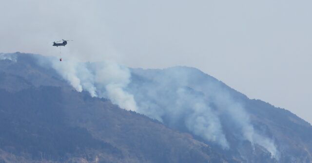 Thousands flee after Japan's biggest wildfire in decades - Breitbart