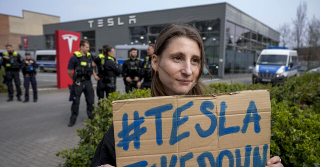 Protests against Elon Musk's purge of US government swarm Tesla ...