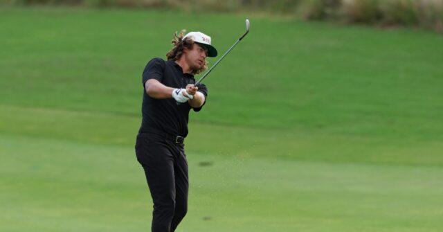 Higgo holds on for win after Dahmen's late collapse - Breitbart