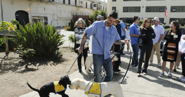 Tears and tail wags: Inmates reunite with service dogs they raised ...