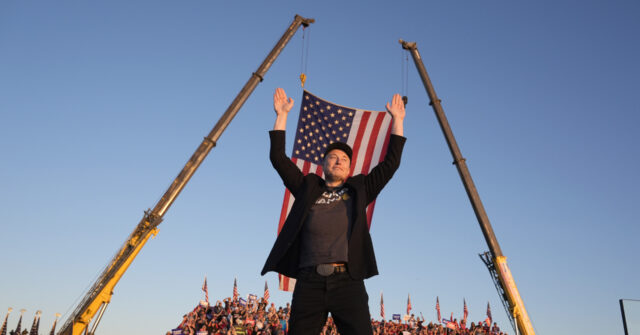 Musk's next task? Reviving Tesla in Europe where sales have plunged by ...