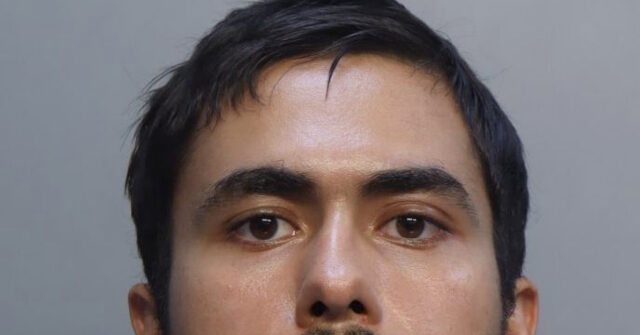 WATCH: Canadian Accused of Charging TSA Agents in 'Wild' Airport Brawl