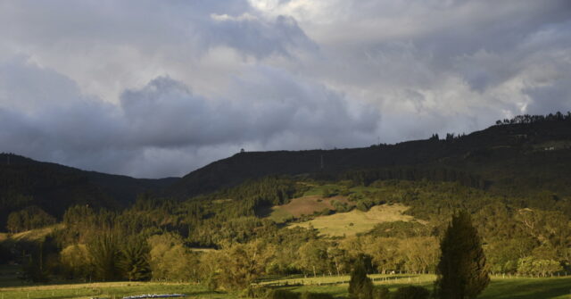 Ancient DNA reveals a new group of people who lived near land bridge ...