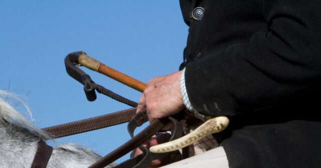 Australian Olympic Equestrian Suspended after Video of Horse Whipping ...