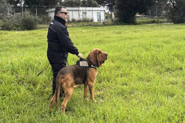 Italy outraged at killing of heroic police bloodhound, found dead after ...