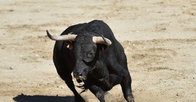 Crowd Watches in Shock as Bull Gores Bullfighter to Death in the Ring