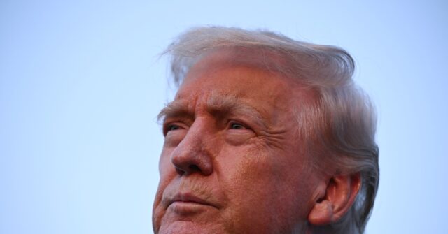 Trump says to name new labor statistics chief this week - Breitbart