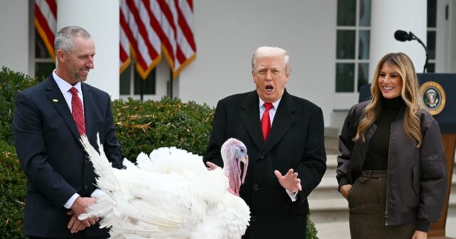 Talking turkey: Trump turns pardon ritual into political roast - Breitbart