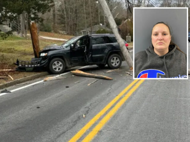 Grammy Nominated Musician Roderick MacLeod Killed By Driver with More ...