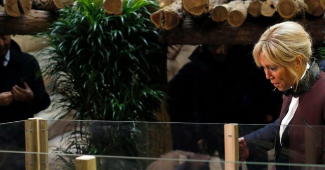 French first lady Brigitte Macron visits an old friend in China: A ...