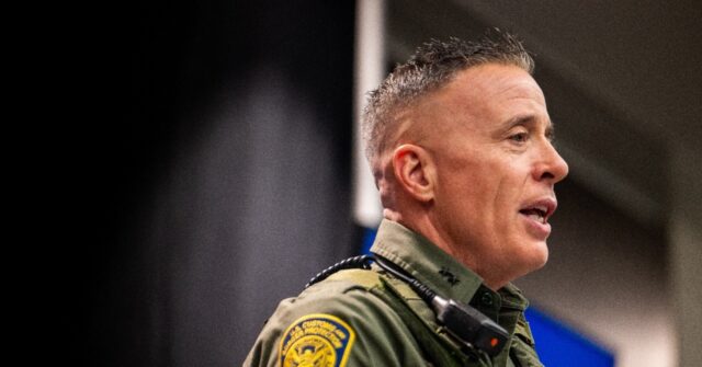 Minnesota ICE shooting puts new twist on gun rights debate - Breitbart