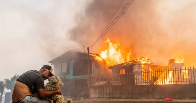 Wildfires race across Chile, leaving 15 dead and forcing thousands to ...