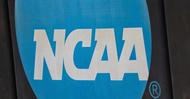 15 former NCAA players among those charged in alleged scheme to rig ...