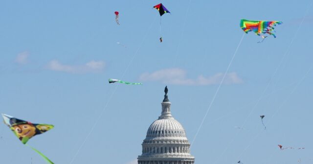Cherry blossoms, kite-flying and 'No Kings' converge on Washington ...