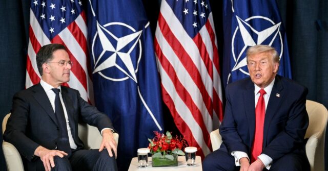Trump lashes out at 'paper tiger' NATO while re-upping Greenland claim ...