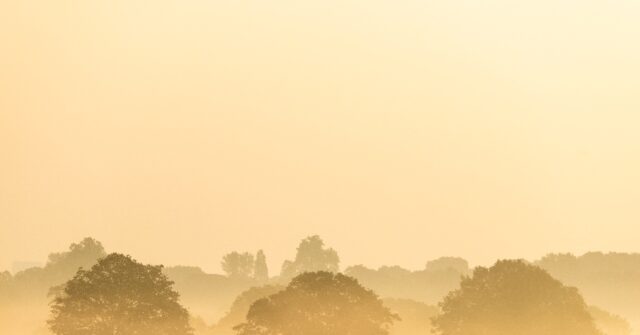 More climate records under threat as spring heatwave bakes western ...