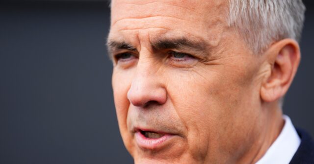 Carney says Canada will buy European surveillance planes over two ...