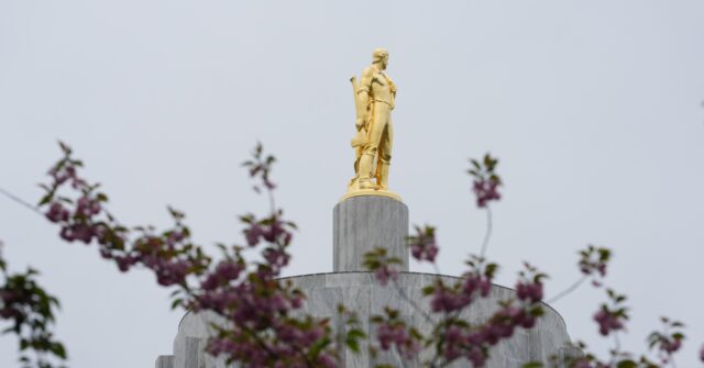 AP Decision Notes: What to expect in Oregon’s primaries - Breitbart