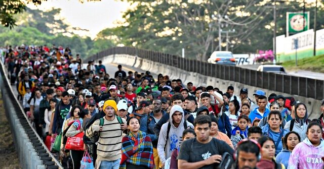Analysis: Immigrant Households Use Welfare at 'Substantially Higher ...