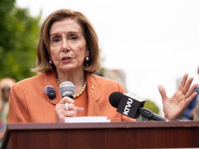 Nancy Pelosi Calls DACA Illegal Aliens 'the Gold Standard of Immigrants'