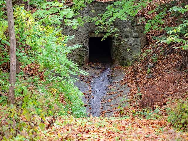 More than 70 New York School Girls Rescued in Sewer System 'Field Trip'
