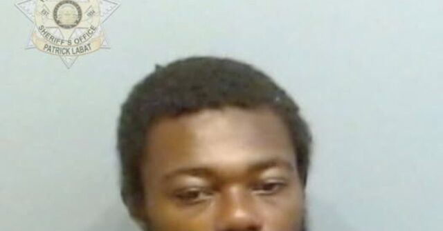 VIDEO: Elderly Woman Fatally Stabbed Nearly 20 Times on Atlanta Train