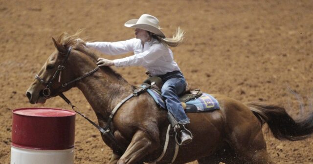 Teen Girl Arrested After Brutal Stabbing of 3 Horses at National Horse ...